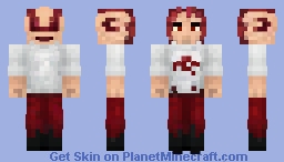 Noi - Turtle Minecraft Skin