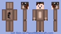 Raccoon Costume Minecraft Skin