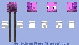 Kinito Pet Minecraft Skin