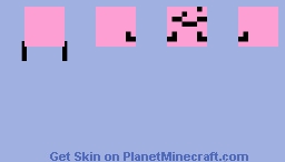 Zani - Wuthering Waves (Updated) Minecraft Skin