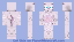 Kitten Minecraft Skin