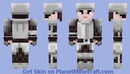 Medieval Knight Minecraft Skin