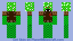 medusa Minecraft Skin