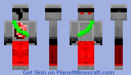 robo warroir Minecraft Skin