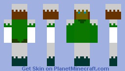 Elf warrior Minecraft Skin