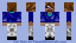 Disco Steve Minecraft Skin