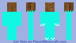 derp wearing a paper bag! Minecraft Skin