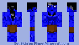 navi Minecraft Skin