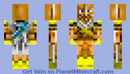 Paladin Minecraft Skin