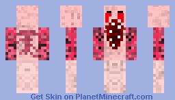 no name Minecraft Skin