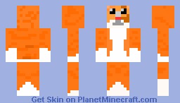 Orange Tabby Cat Minecraft Skin