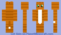 Paxtreck's Orange Cat Minecraft Skin