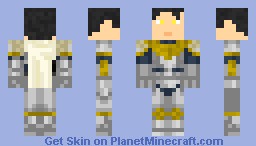 Paladin Minecraft Skin