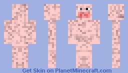 dirty pig Minecraft Skin