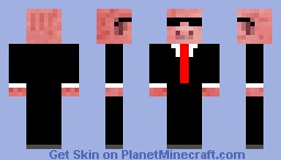 pig suit Minecraft Skin