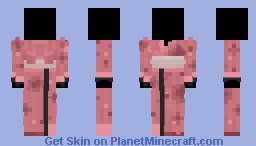 Travel Robes Minecraft Skin