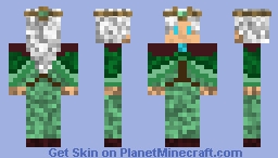 druide Minecraft Skin