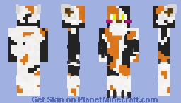 Gizmo (Updated! :3) Minecraft Skin