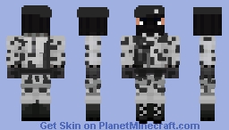 arctic avengers Minecraft Skin