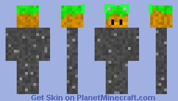 Cat (Vanilla cape) Minecraft Skin