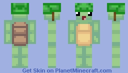 Turtle Minecraft Skin