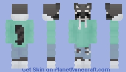 Raccoon #6 Minecraft Skin