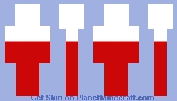 Poland Minecraft Skin