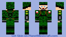polish soldier Minecraft Skin