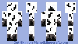 Retrieved Minecraft Skin