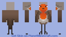 Festival map skins Robin Minecraft Skin