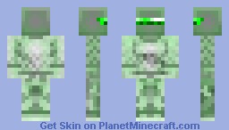 Robo Minecraft Skin