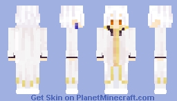 Merlin ( armor) (V3) Minecraft Skin