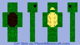 Sea Turtle Minecraft Skin