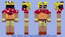 Paraclipse - Secret Santa Minecraft Skin