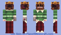 Akoumora - Secret Santa mc skin Minecraft Skin