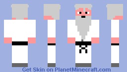 sensei Minecraft Skin