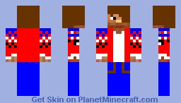 skater skin Minecraft Skin