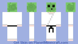 ninja Slime Minecraft Skin