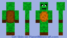 Terry Turtle Minecraft Skin