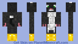 Tuxedo Cat! (GOLD BOOTS) Minecraft Skin