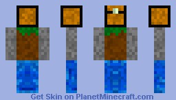 chest head Minecraft Skin