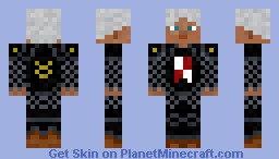 The Guild Elite Minecraft Skin