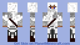 Assassin's apprentice 4 Minecraft Skin
