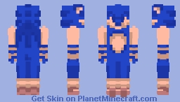 𝐒𝐨𝐧𝐢𝐜.𝐍𝐄𝐒 (𝐟𝐚𝐤𝐞 𝐟𝐨𝐫𝐦) Minecraft Skin