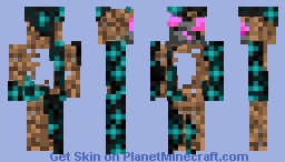 N Minecraft Skin