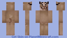 Floppa 🐾 | 🆂🅺🅸🅽🆂 Minecraft Skin