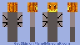 Fly Minecraft Skin