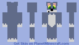 tom Minecraft Skin
