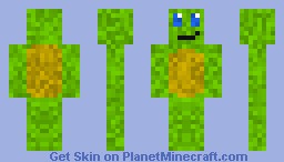 Turtle Minecraft Skin