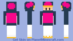 Toadette Penguin Minecraft Skin
